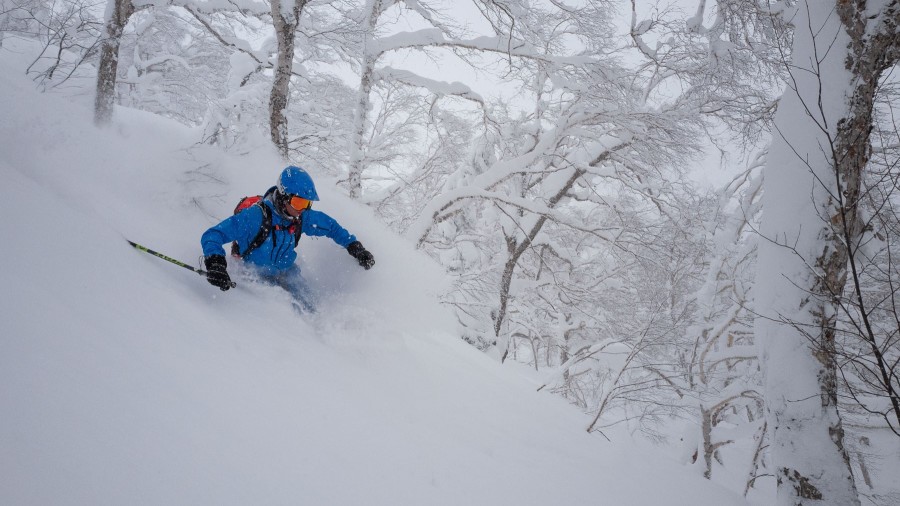 Voyage ski freeride-freerando - Japon