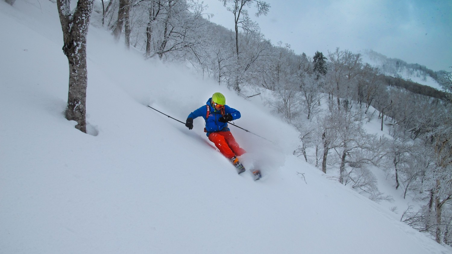 Voyage ski freeride-freerando - Japon